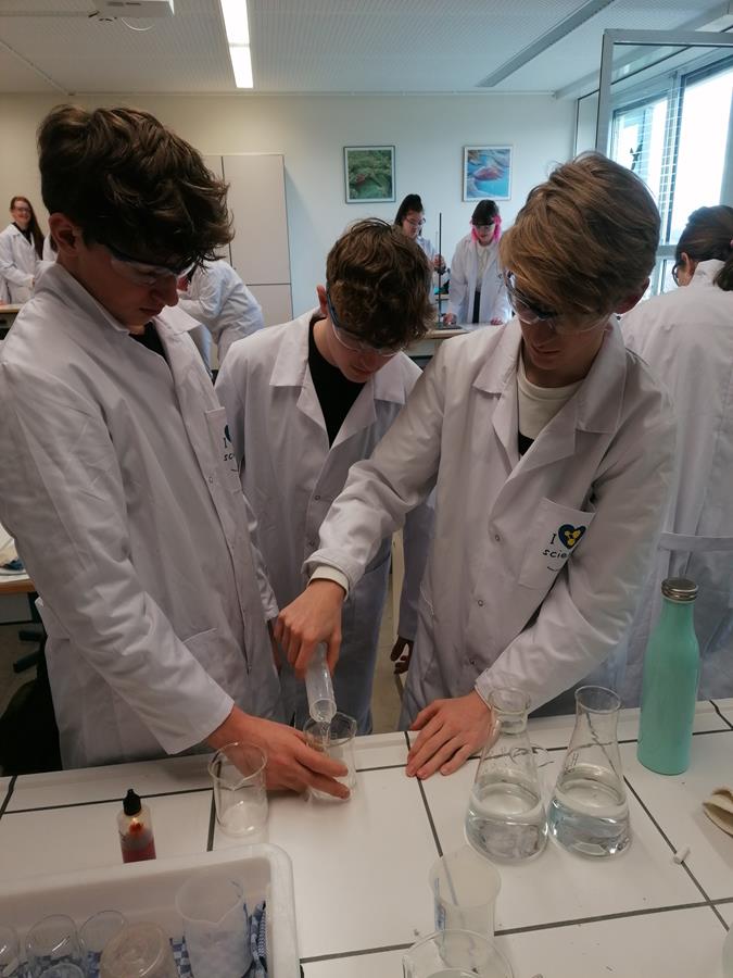 E.T.A. Hoffmann-Gymnasium Bamberg - So schön bunt!