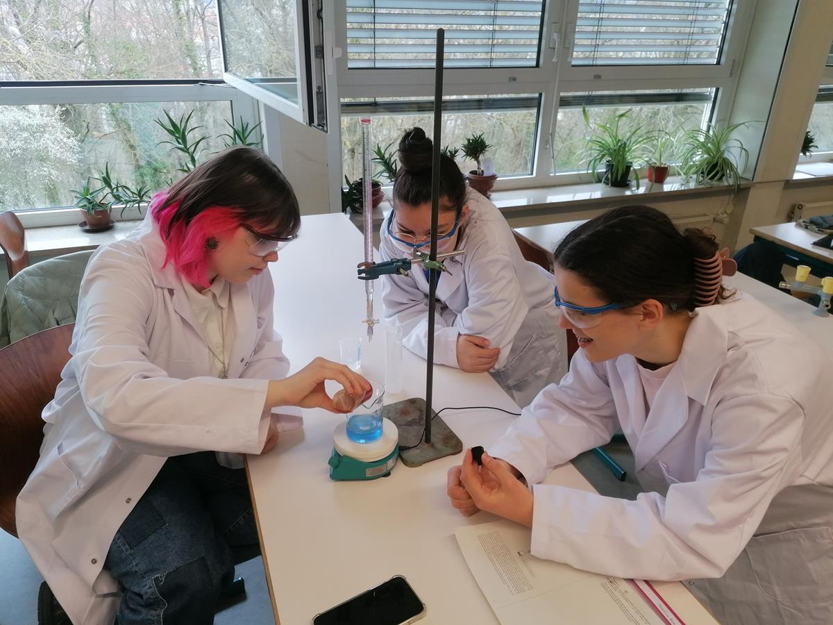 E.T.A. Hoffmann-Gymnasium Bamberg - So schön bunt!