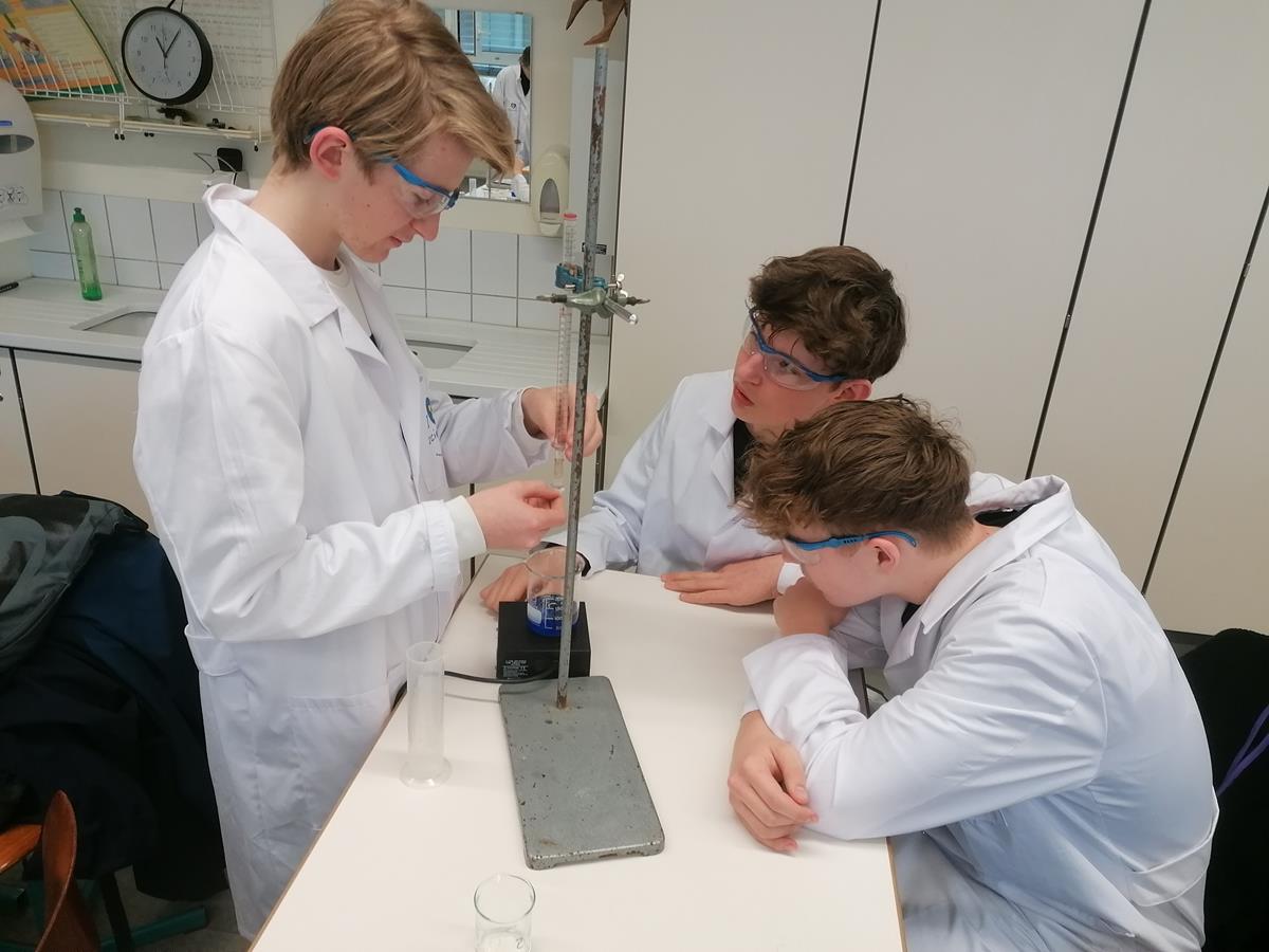 E.T.A. Hoffmann-Gymnasium Bamberg - So schön bunt!