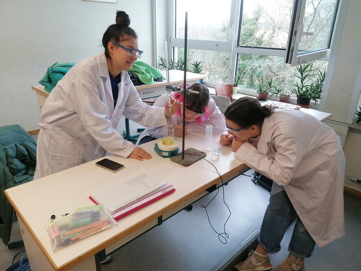 E.T.A. Hoffmann-Gymnasium Bamberg - So schön bunt!