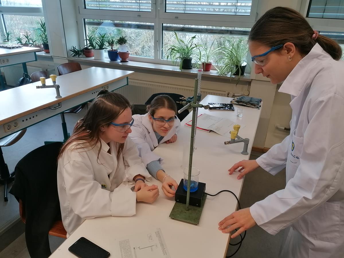 E.T.A. Hoffmann-Gymnasium Bamberg - So schön bunt!