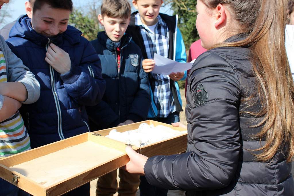 E.T.A. Hoffmann-Gymnasium Bamberg - Ausgrabungen am ETA